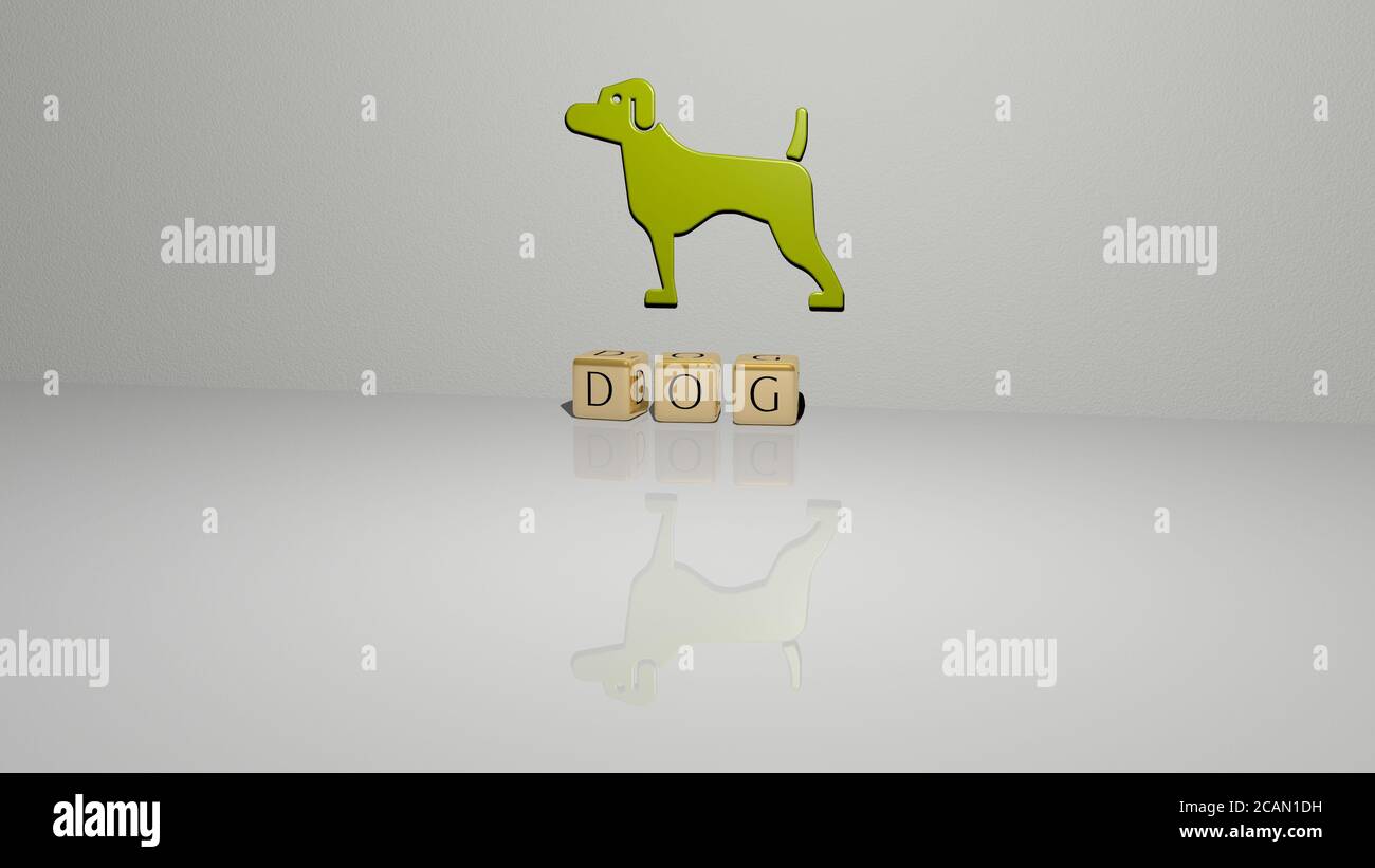 dog text of cubic dice letters on the floor and 3D icon on the wall ...