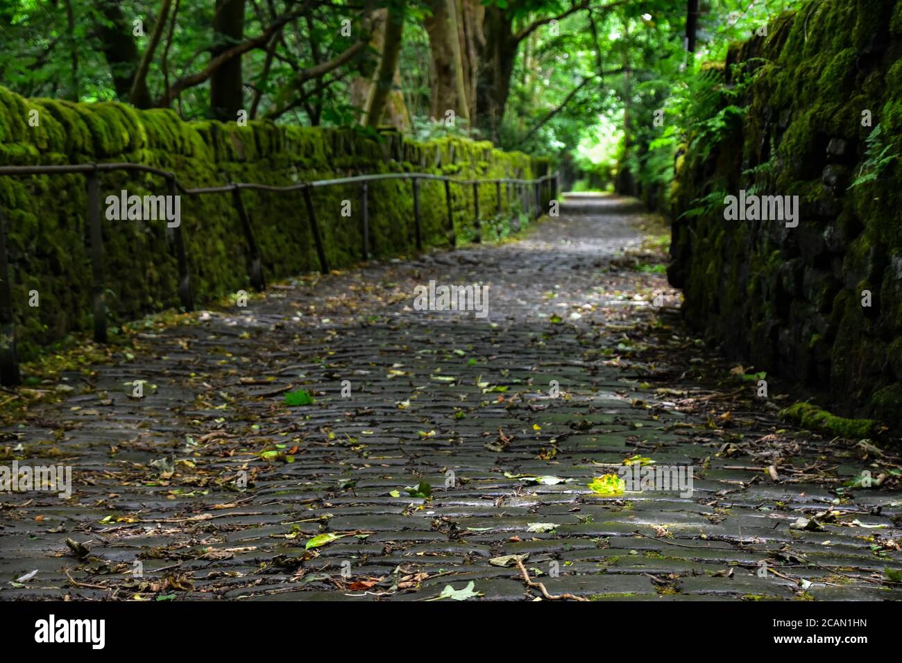 The Buttress, cobbled path, Hebden Bridge, Calderdale, West Yorkshire ...