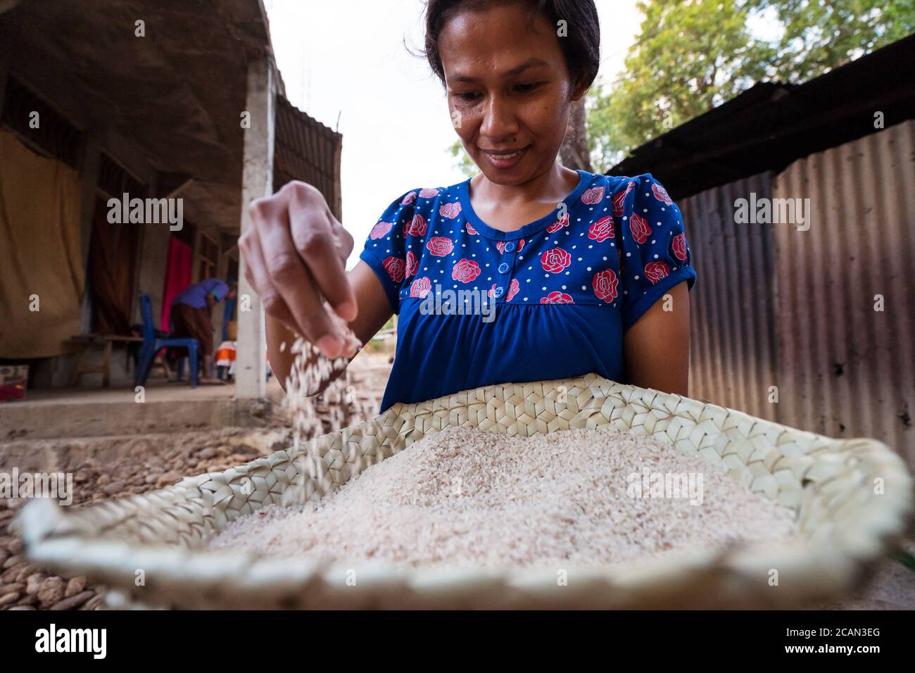 Woman sifting rice hi-res stock photography and images - Alamy