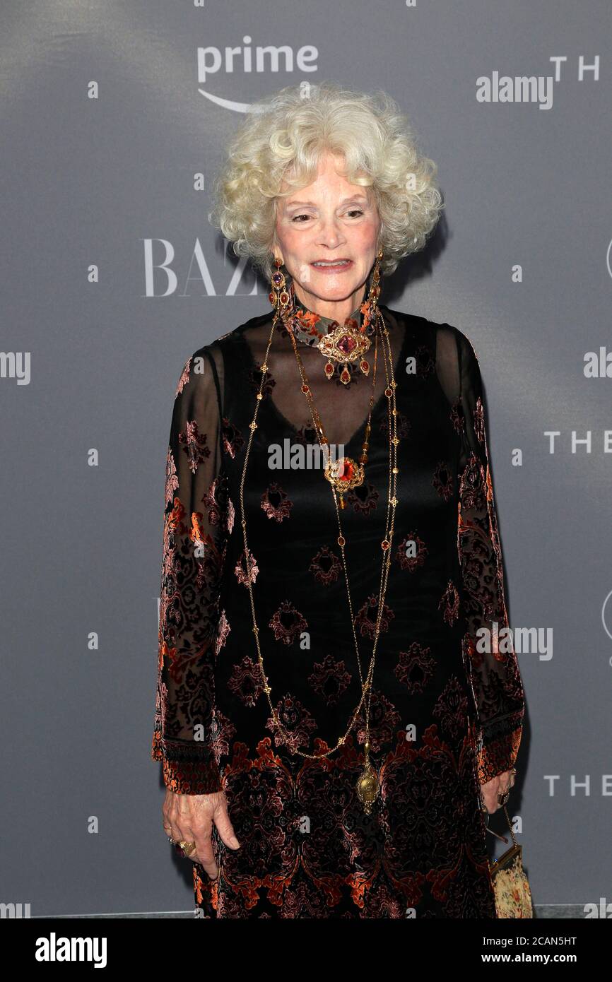 LOS ANGELES - FEB 20: Maggie Schpak at the 20th Costume Designers Guild ...