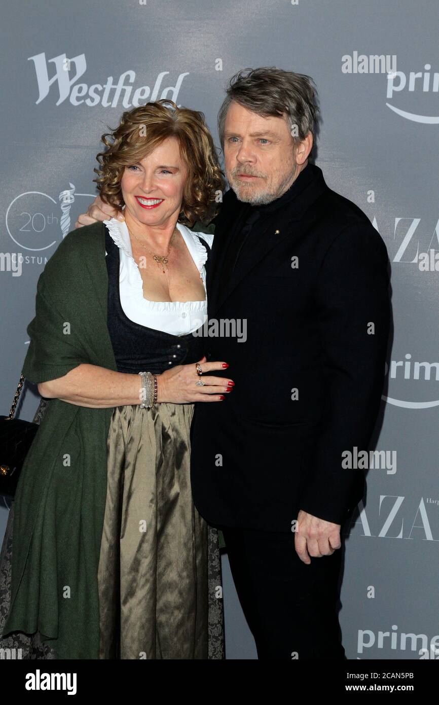 LOS ANGELES - FEB 20: Marilou York, Mark Hamill at the 20th Costume ...