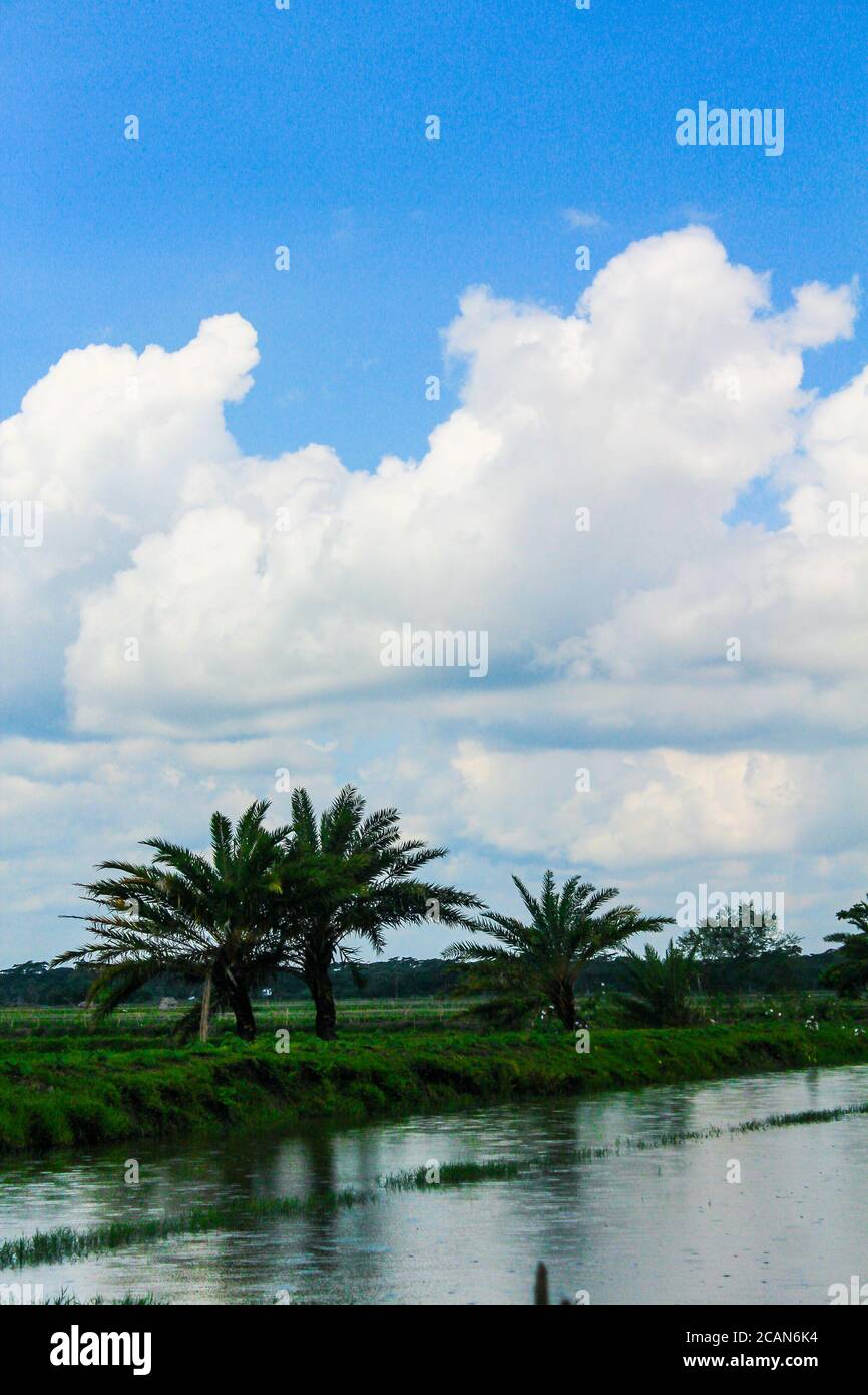 Beautiful landscape with cloudy sky, beautiful nature, new background ...