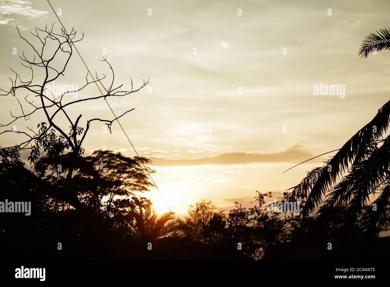 Beautiful sky sunset view with tree shadow, new stock imag Stock Photo ...