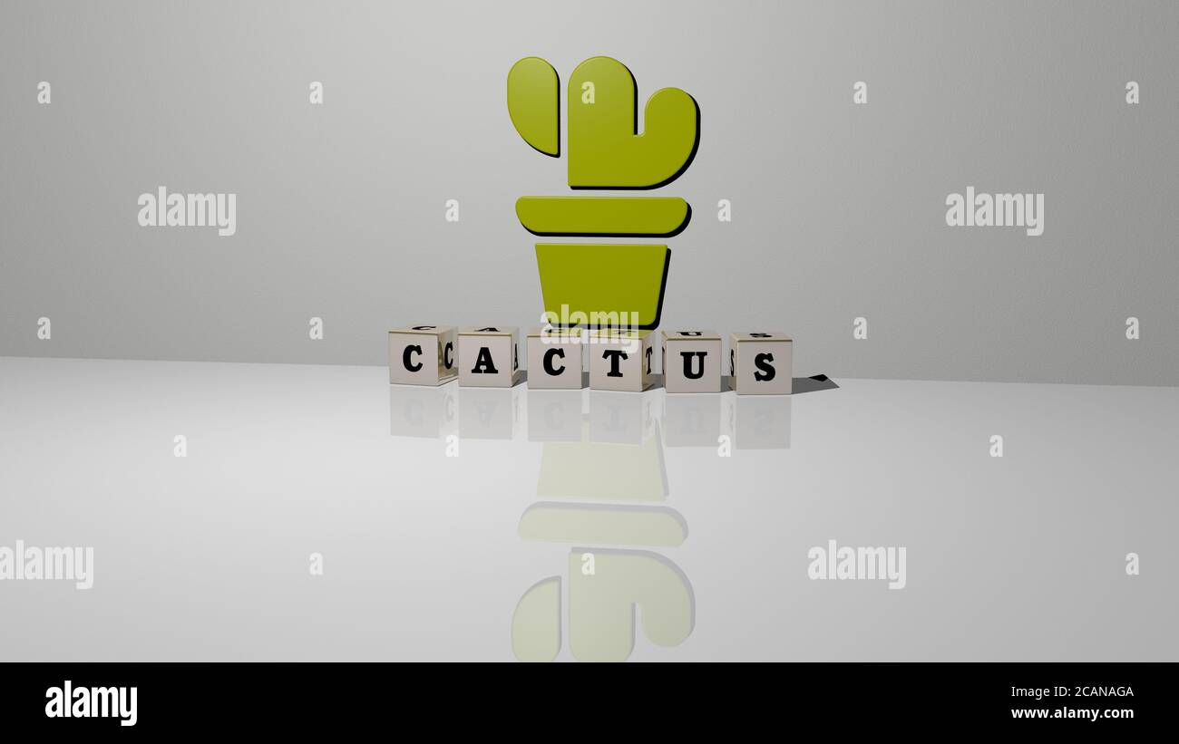 cactus text of cubic dice letters on the floor and 3D icon on the wall ...