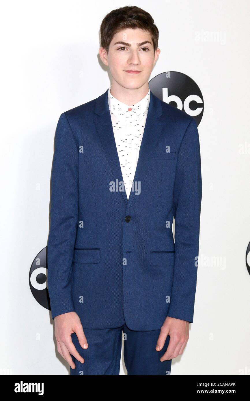 LOS ANGELES - AUG 7: Mason Cook at the ABC TCA Party- Summer 2018 at ...