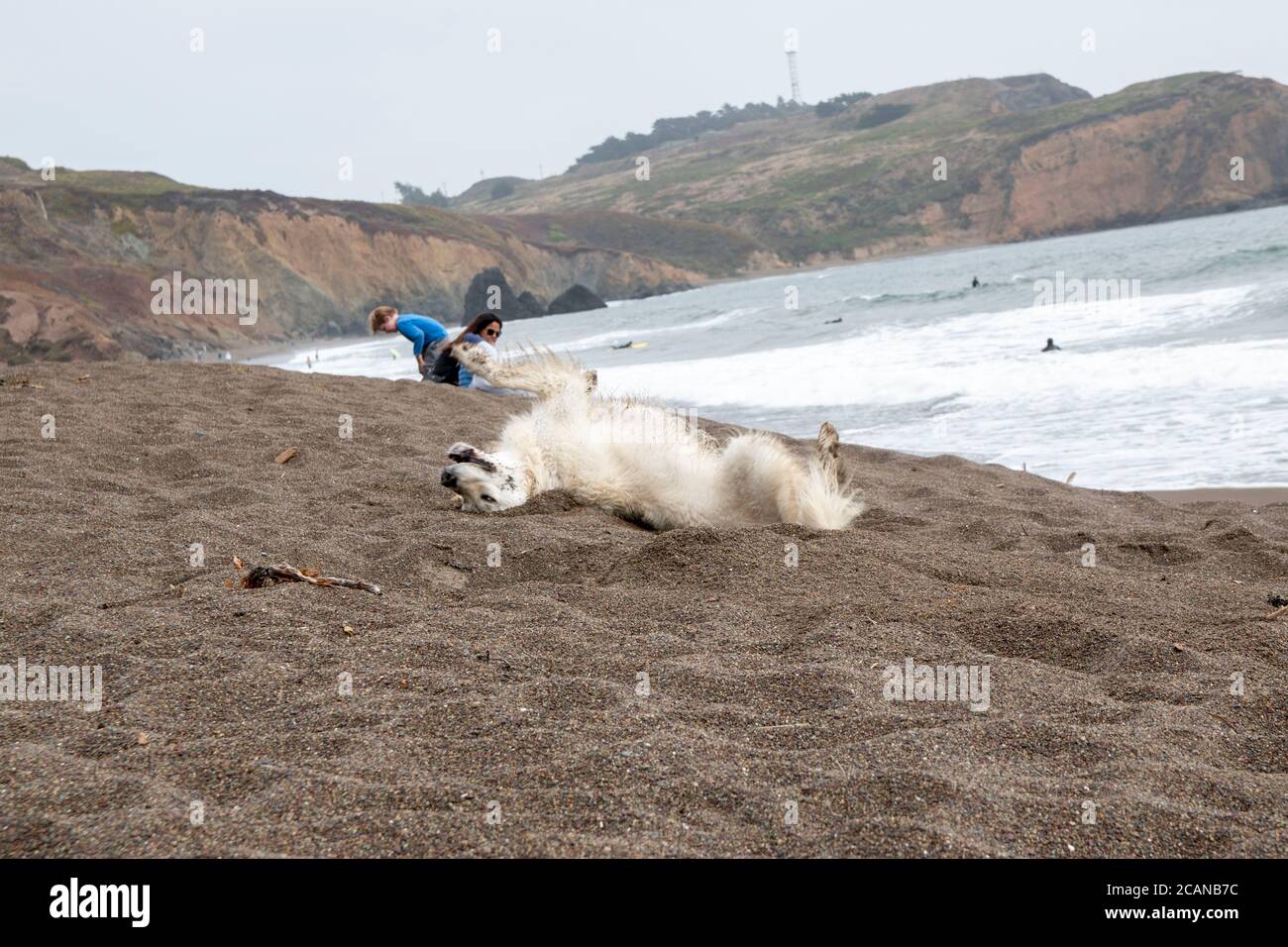 There are plenty of things to do at Rodeo Beach in the Marin Headlands ...