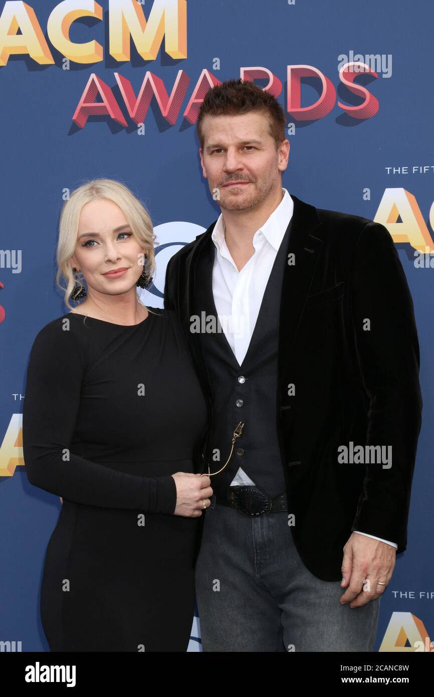 LAS VEGAS - APR 15: Jaime Bergman, David Boreanaz at the Academy of ...