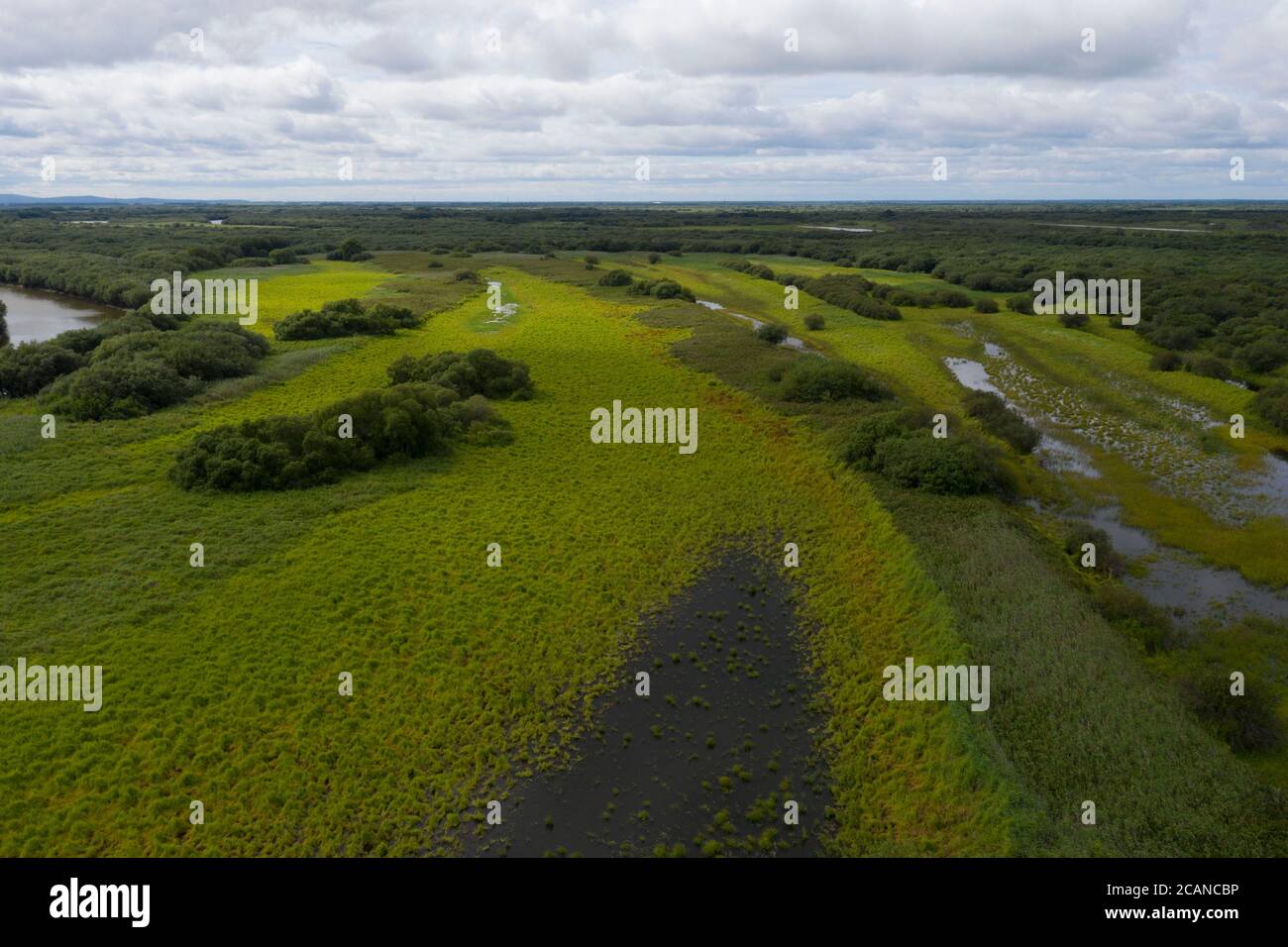 Primordial Animal High Resolution Stock Photography and Images - Alamy