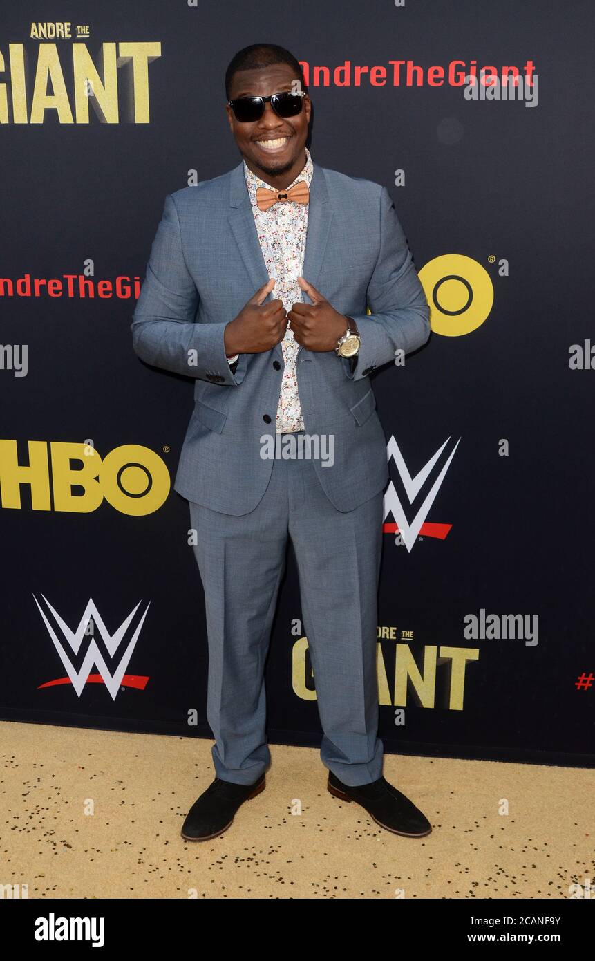 LOS ANGELES - FEB 29: Kevin Raphael at the "Andre The Giant" HBO ...