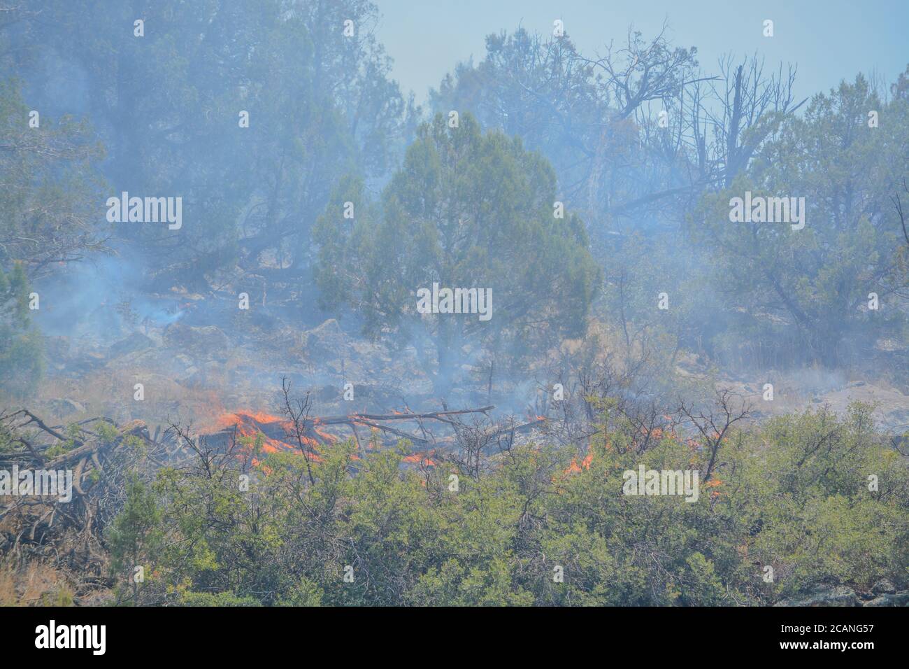 Roadside forest fire next to the freeway in Colorado Stock Photo - Alamy