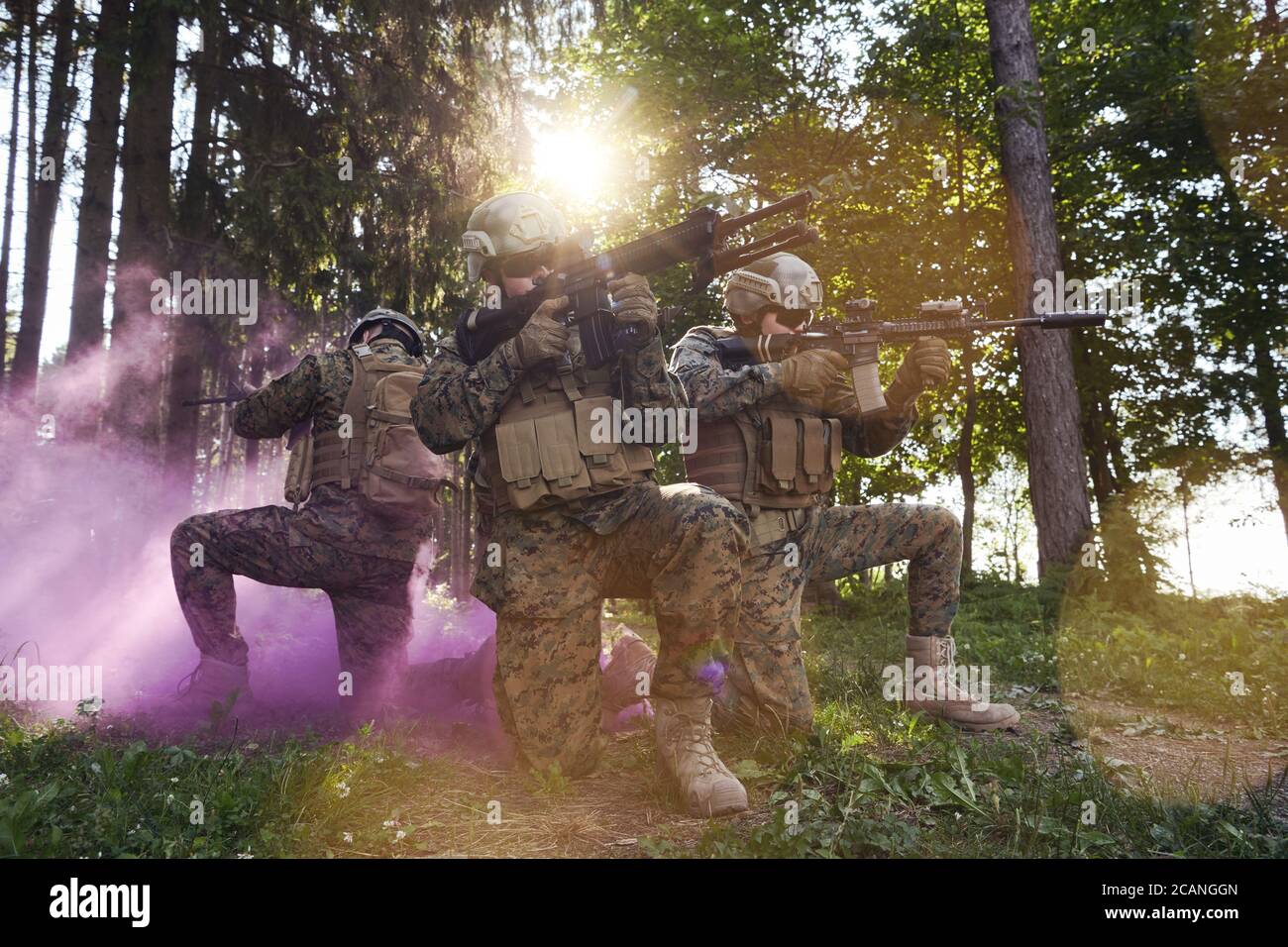 Us army elite force hi-res stock photography and images - Alamy