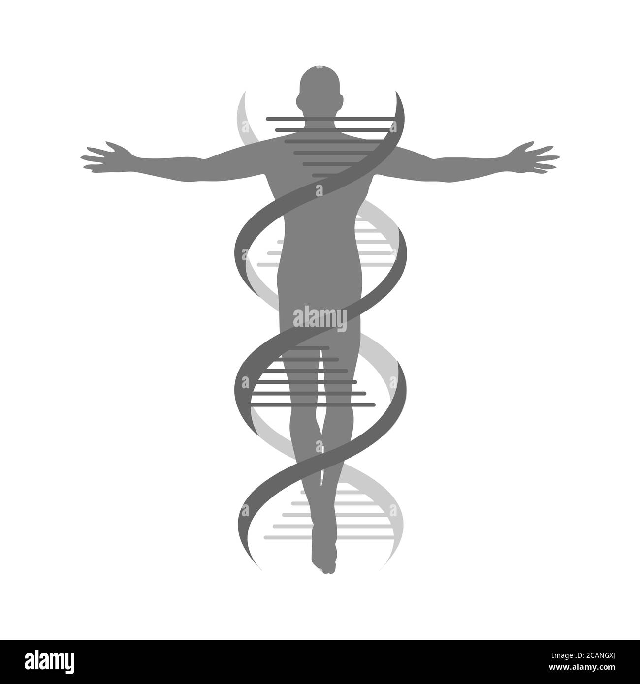 the combination icon of helix strand DNA human logo vector isolated on ...