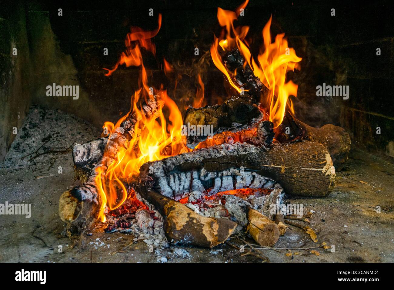 Flames in different forms of a bonfire made with orange tree trunks ...