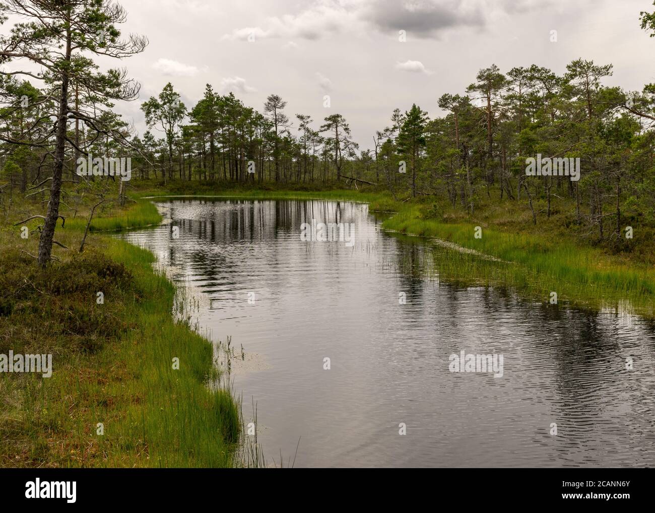 landscape with stunning bog views. beautiful clouds. View of the ...