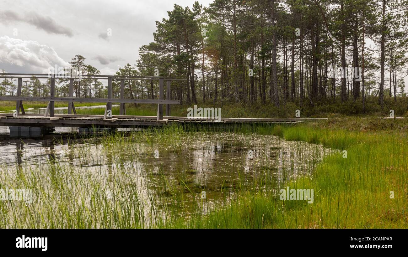 landscape with a wooden construction walking bridge in the middle of ...