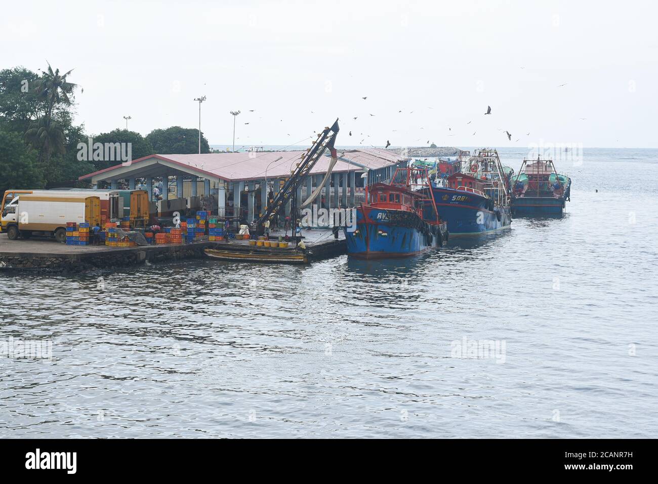 Kerala, India. September 06, 2019. Fishing boats docked at Kollam or ...