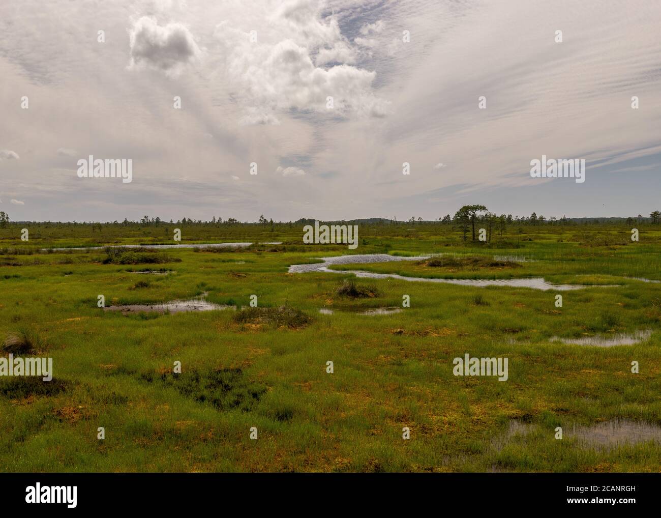 landscape with stunning bog views. beautiful clouds. View of the ...