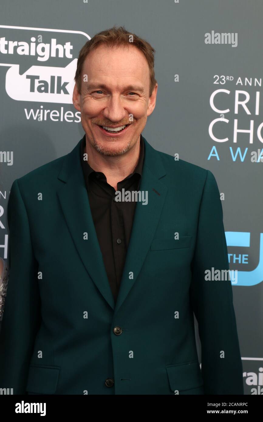 LOS ANGELES - JAN 11: David Thewlis at the 23rd Annual Critics' Choice ...