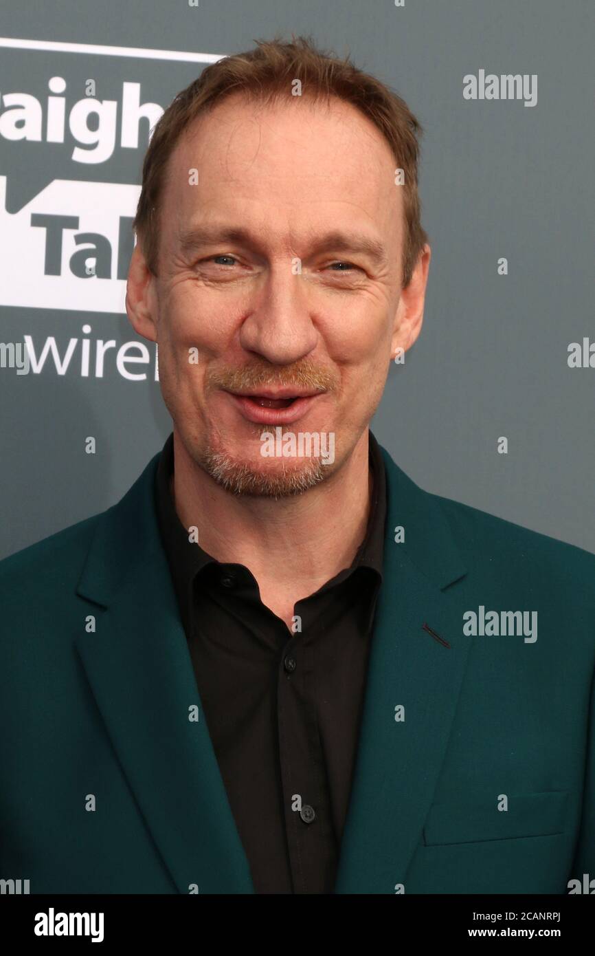 LOS ANGELES - JAN 11: David Thewlis at the 23rd Annual Critics' Choice ...