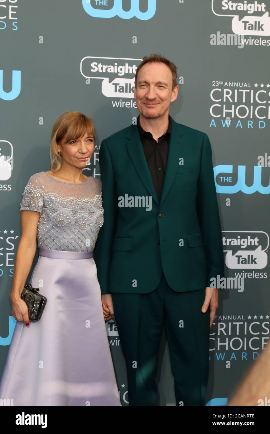 LOS ANGELES - JAN 11: David Thewlis at the 23rd Annual Critics' Choice ...