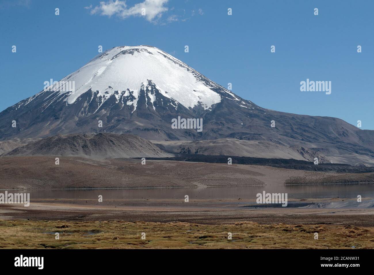 Parinacota Volcano (Parque Nacional Lauca), north Chile 18th Oct 2017 ...