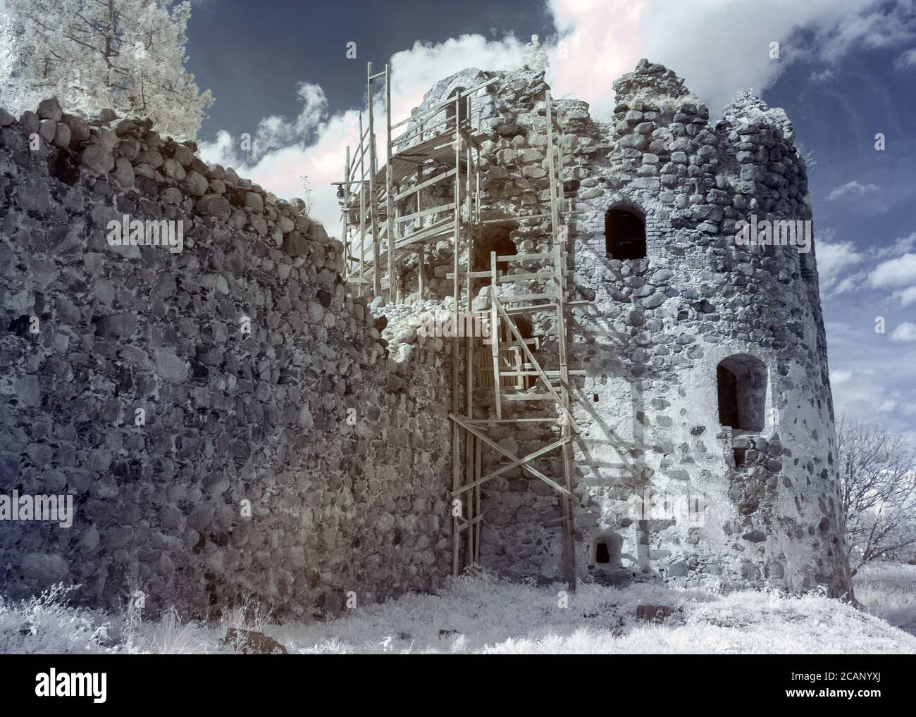 unusual surreal landscape with trees and old castle ruins. Photographed ...