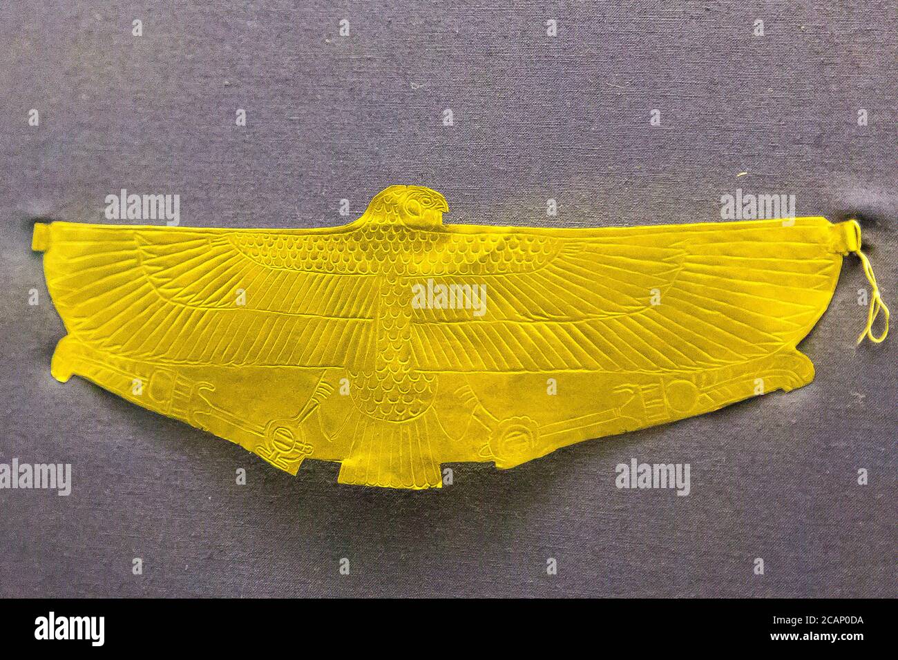Skeleton hawk hi-res stock photography and images - Alamy