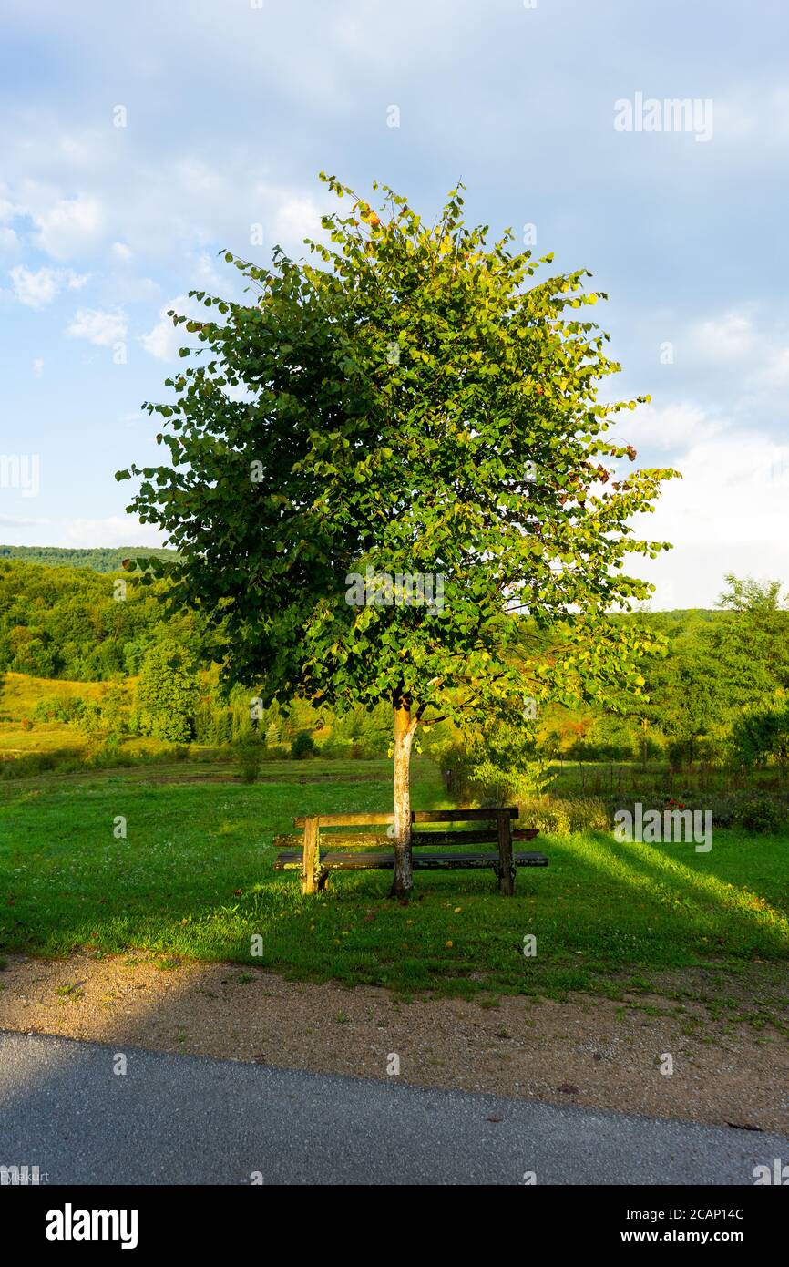 Let's wait by the tree Stock Photo - Alamy