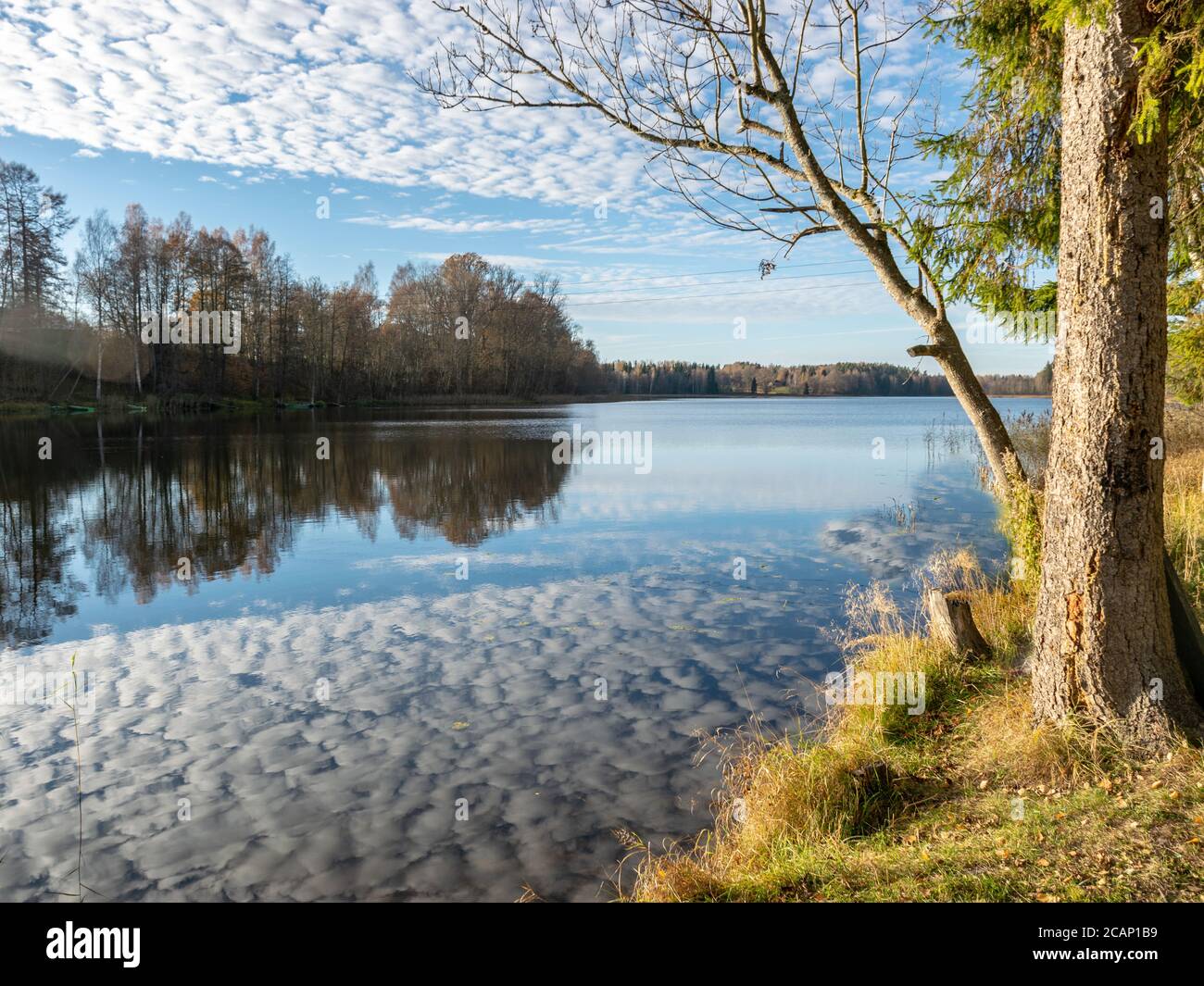 autumn landscape with beautiful colored trees and reflections in the ...