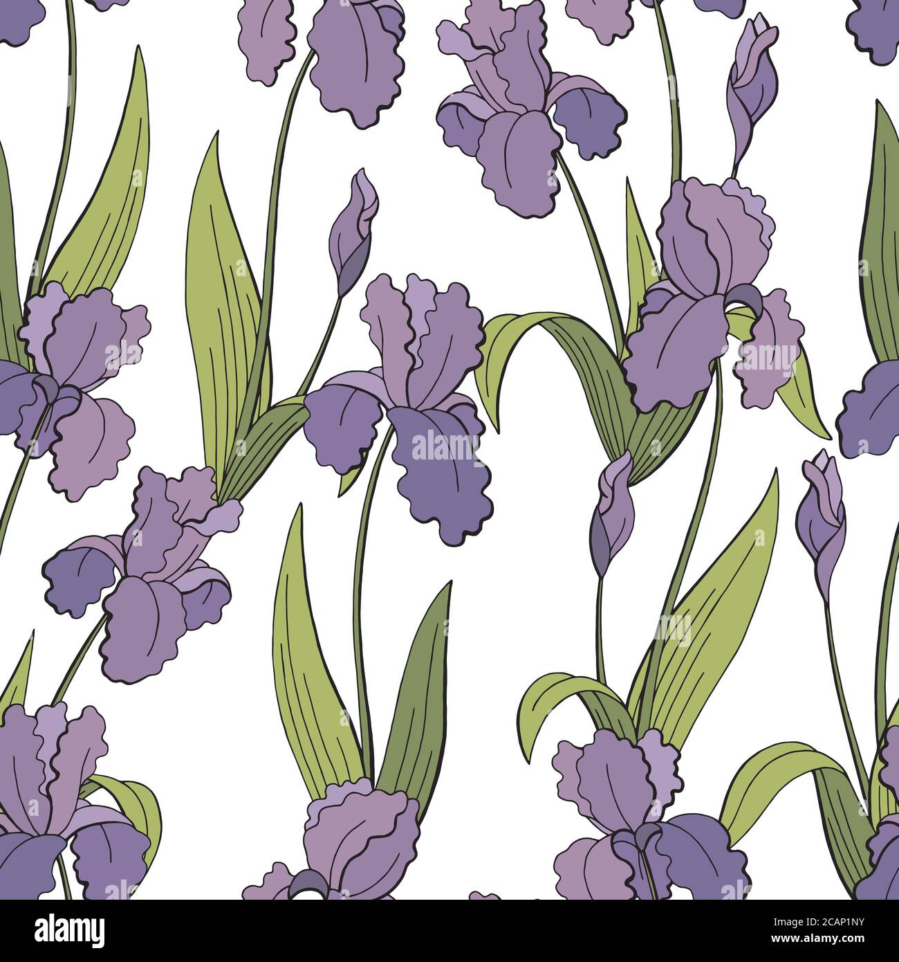 Iris flower graphic color seamless pattern background sketch ...