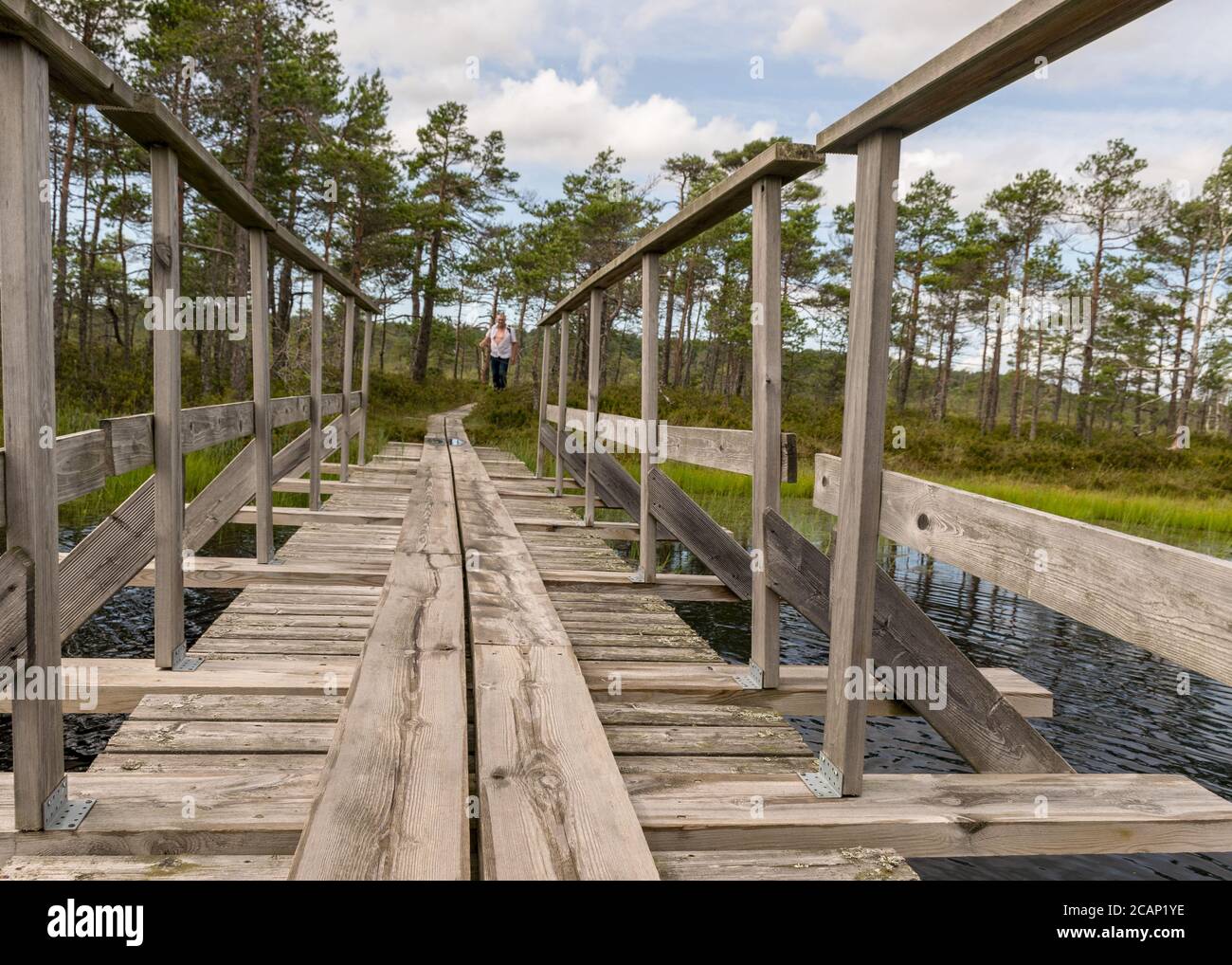 landscape with a wooden construction walking bridge in the middle of ...