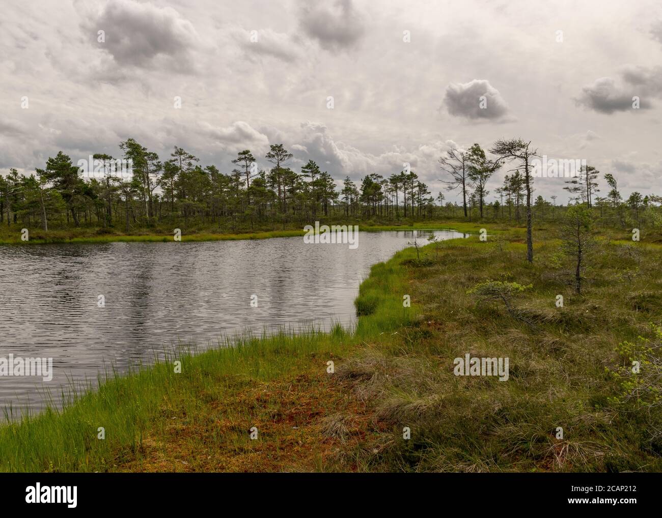 landscape with stunning bog views. beautiful clouds. View of the ...