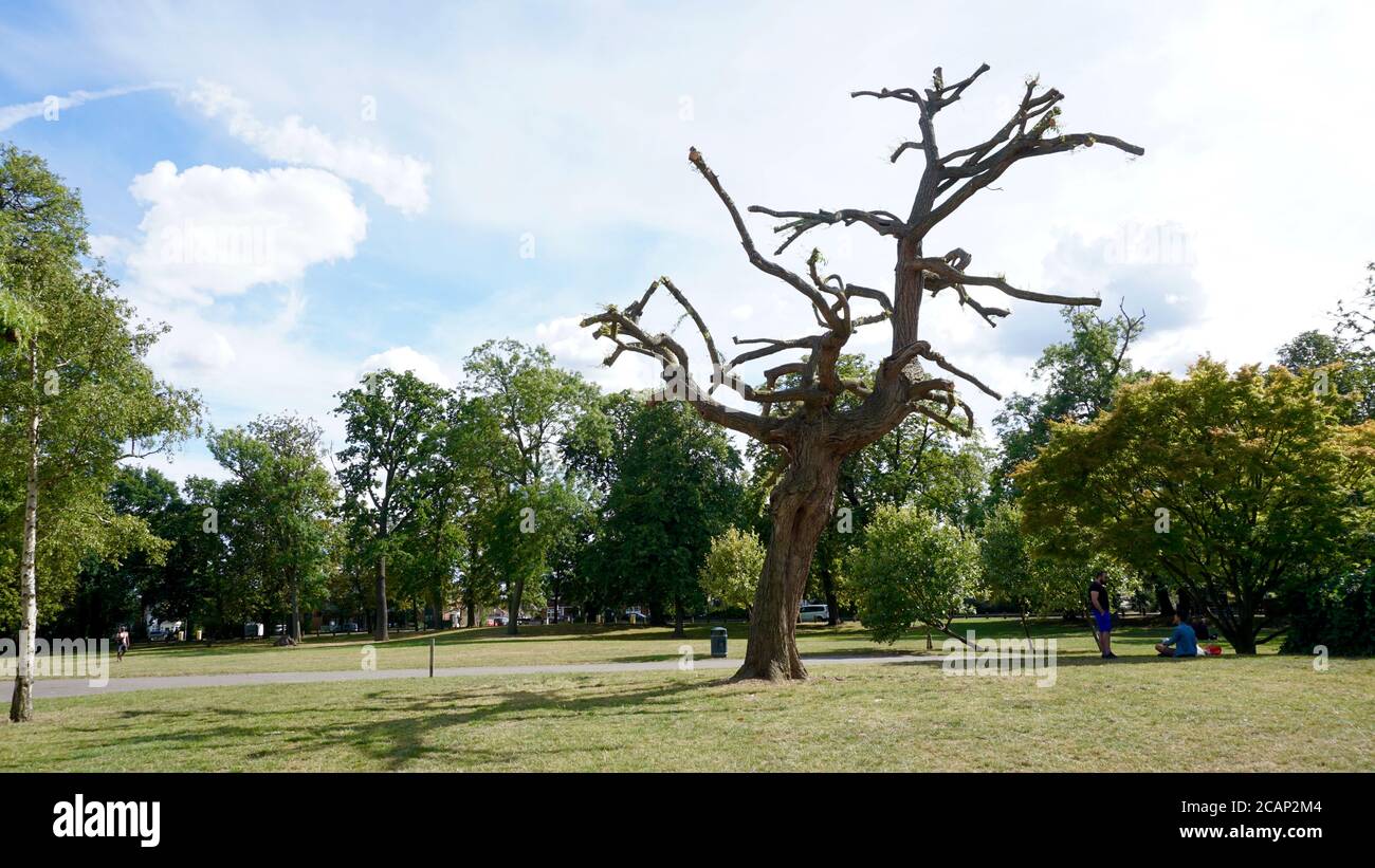 Barham Park in Wembley, London United Kingdom Stock Photo - Alamy
