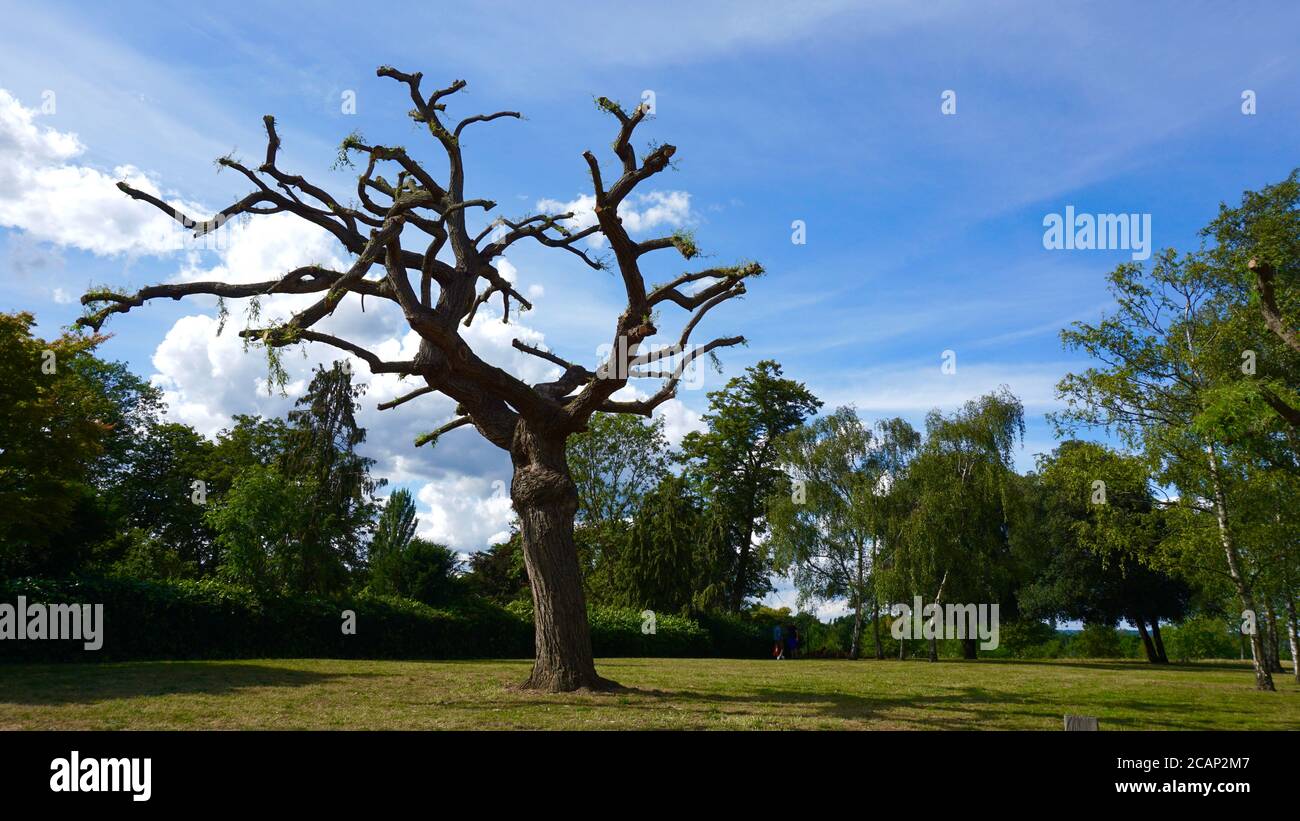 Barham Park in Wembley, London United Kingdom Stock Photo - Alamy