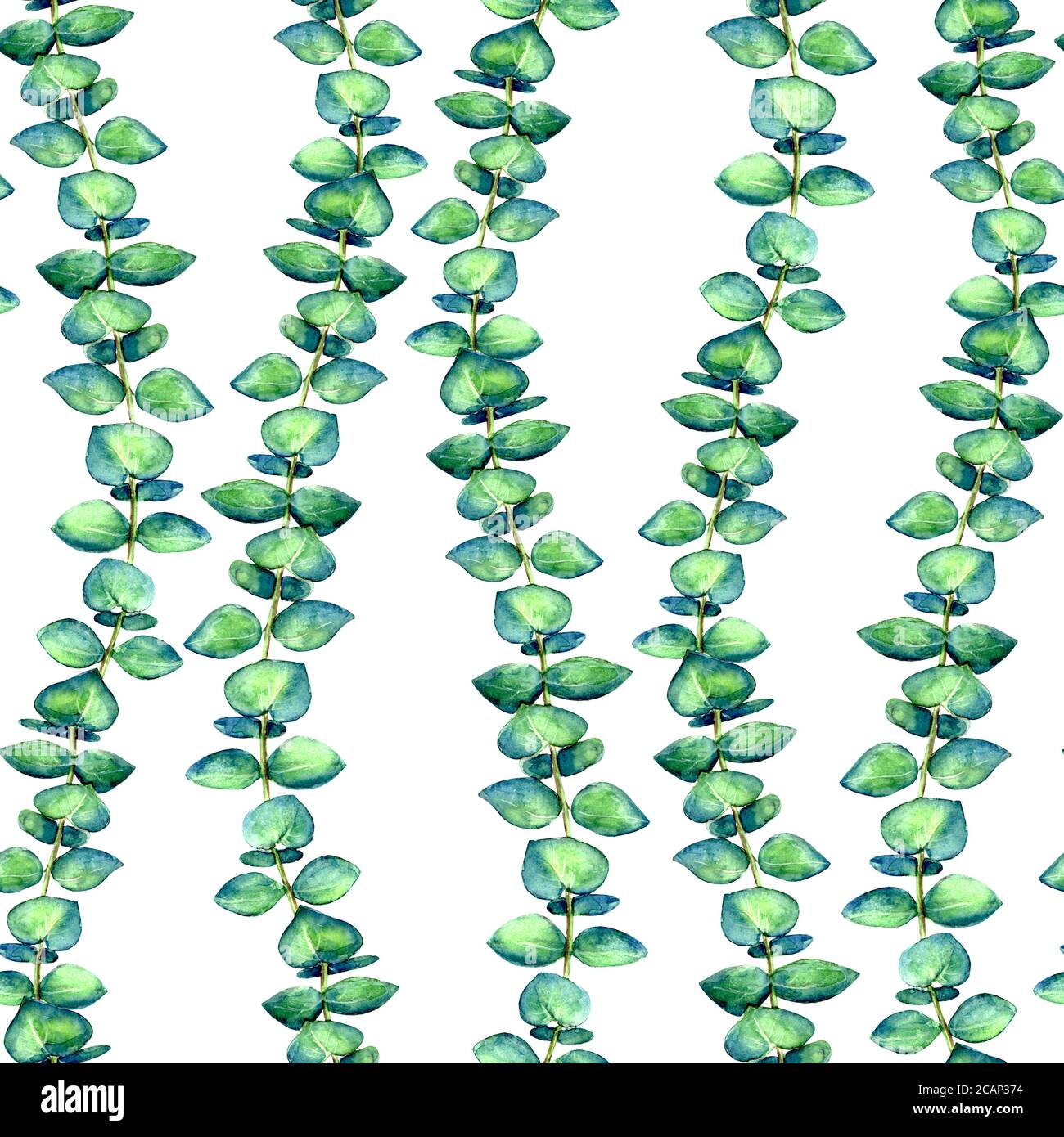 Baby Blue Eucalyptus branches on white background watercolor seamless ...