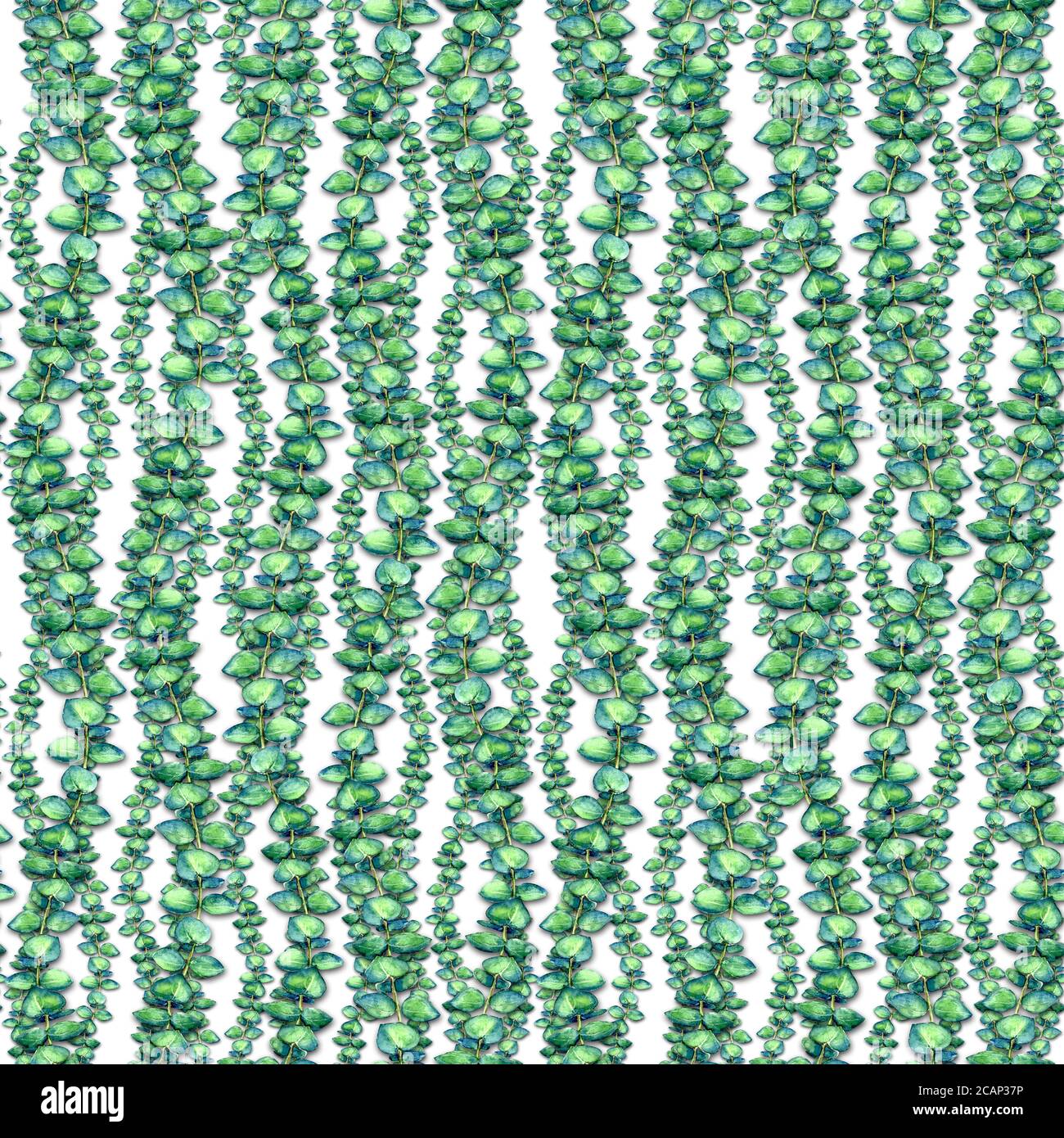 Baby Blue Eucalyptus branches on white background watercolor seamless ...