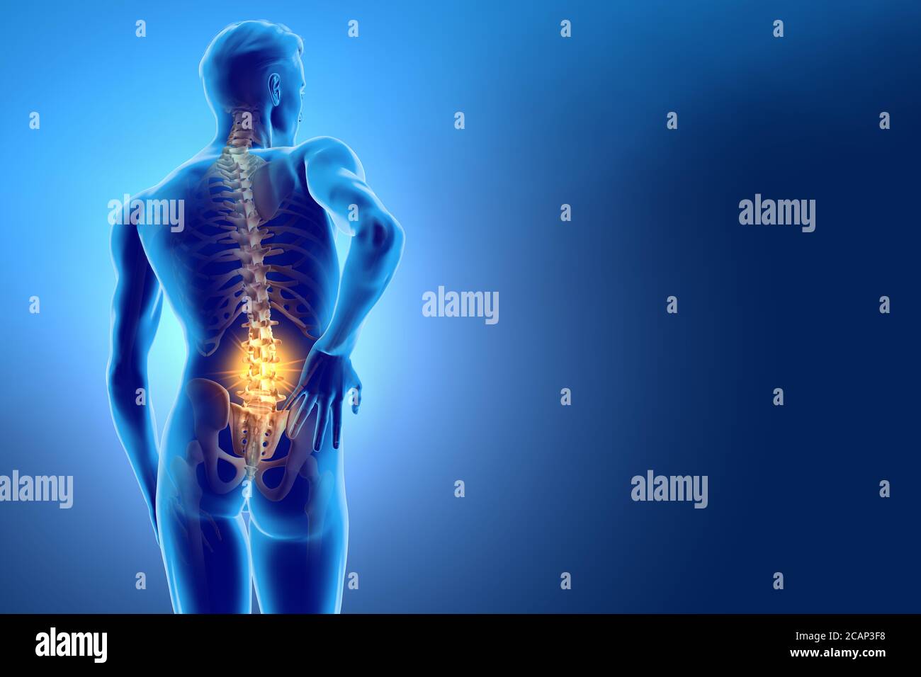 illustration showing lumbal vertebra with intervertebral disc and ...