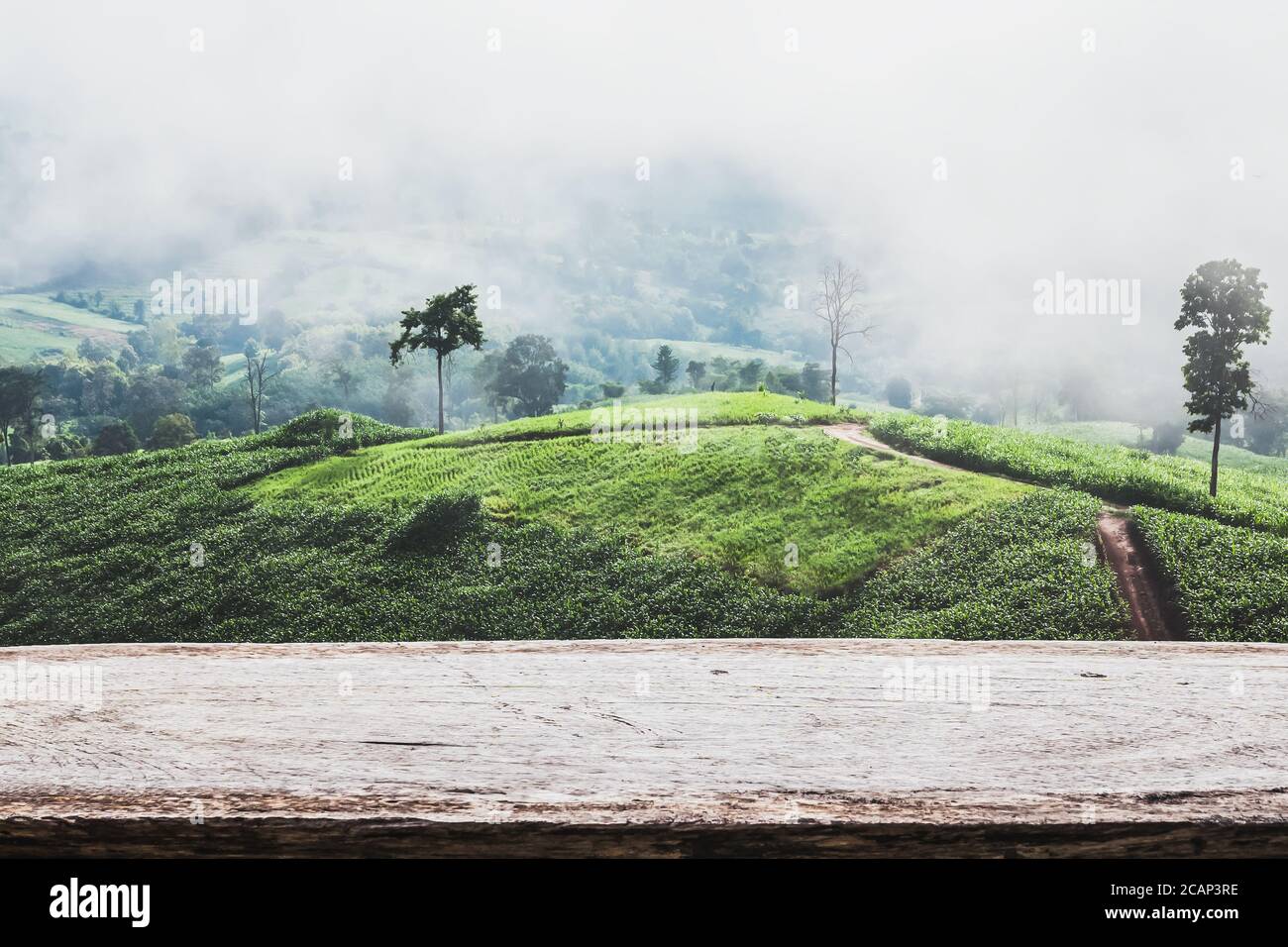 wooden panel table top with the mountain with fog landscape background ...