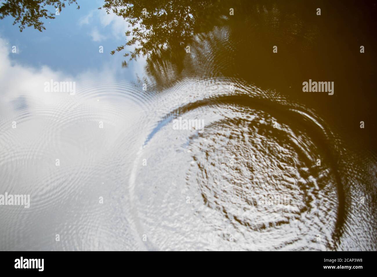 Concentric circles in nature hi-res stock photography and images - Alamy