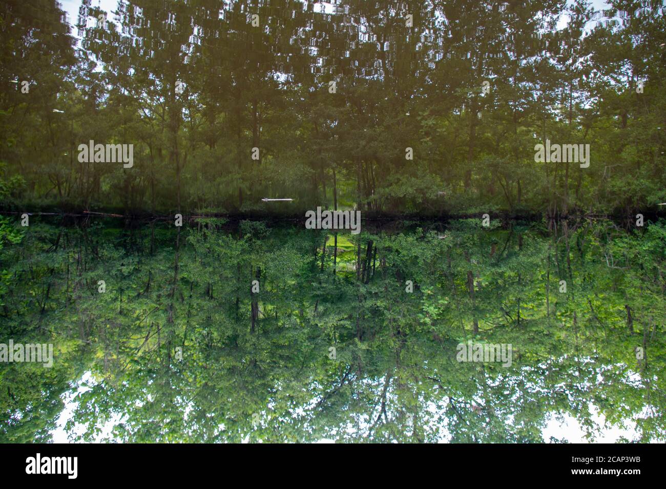 Trippy nature art hi-res stock photography and images - Alamy