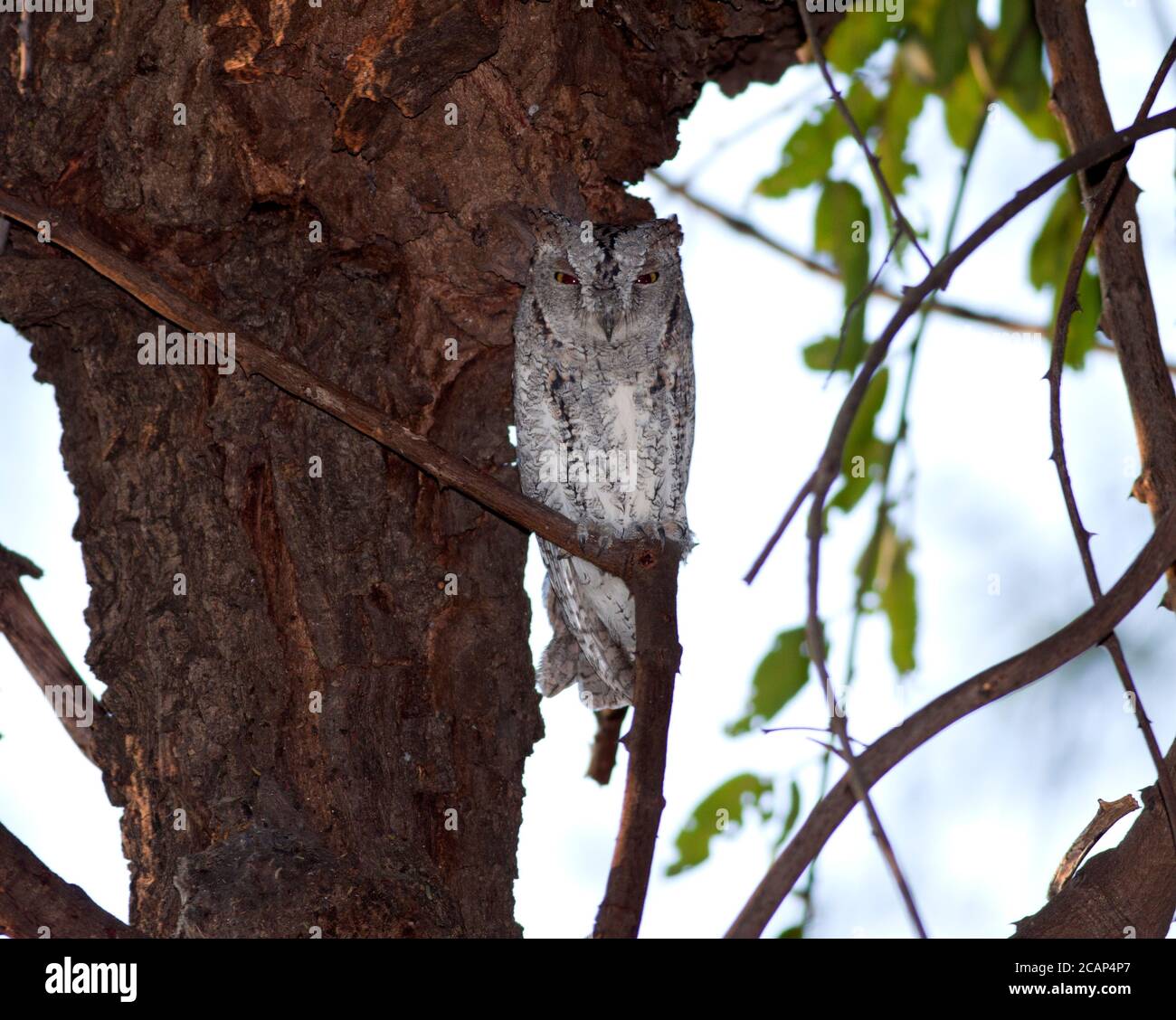 Remain motionless hi-res stock photography and images - Alamy