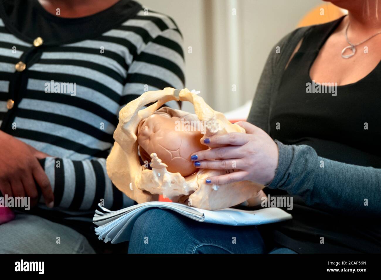 Medical training model hi-res stock photography and images - Alamy