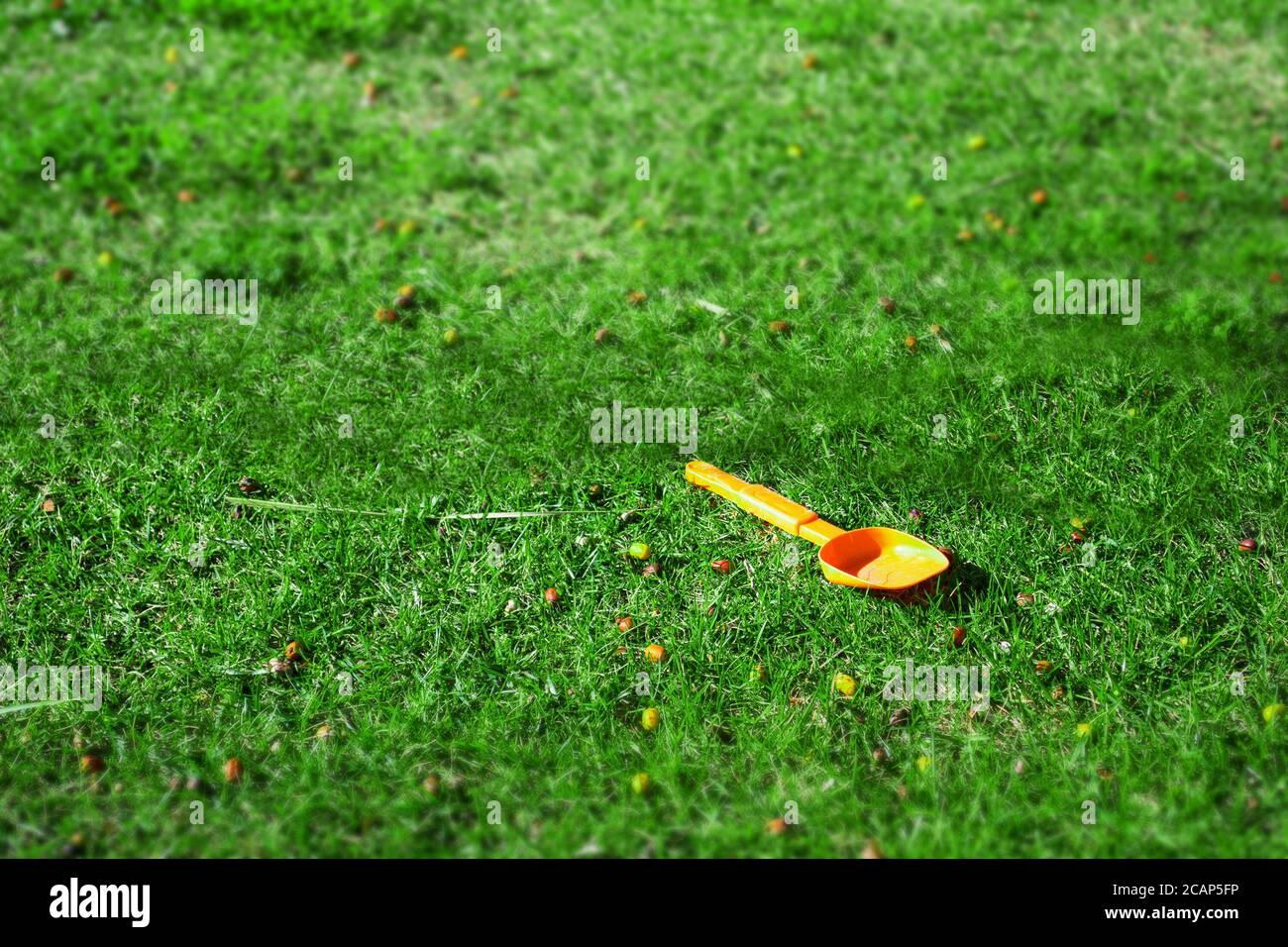 orange spade in a green field. Tilt shifr effect Stock Photo - Alamy