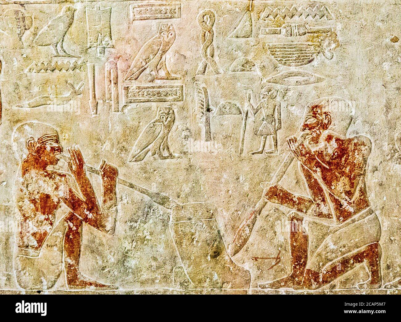 Egypt, Cairo, Egyptian Museum, from the tomb of Kaemrehu, Saqqara ...