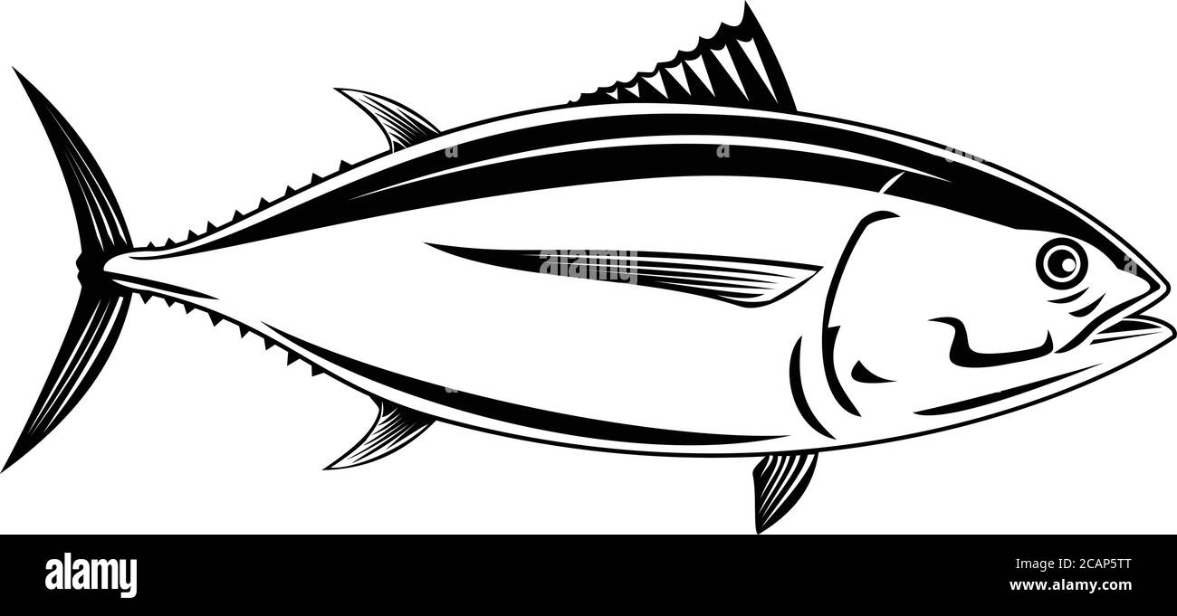 Retro woodcut style illustration of a Pacific albacore Thunnus alalunga ...