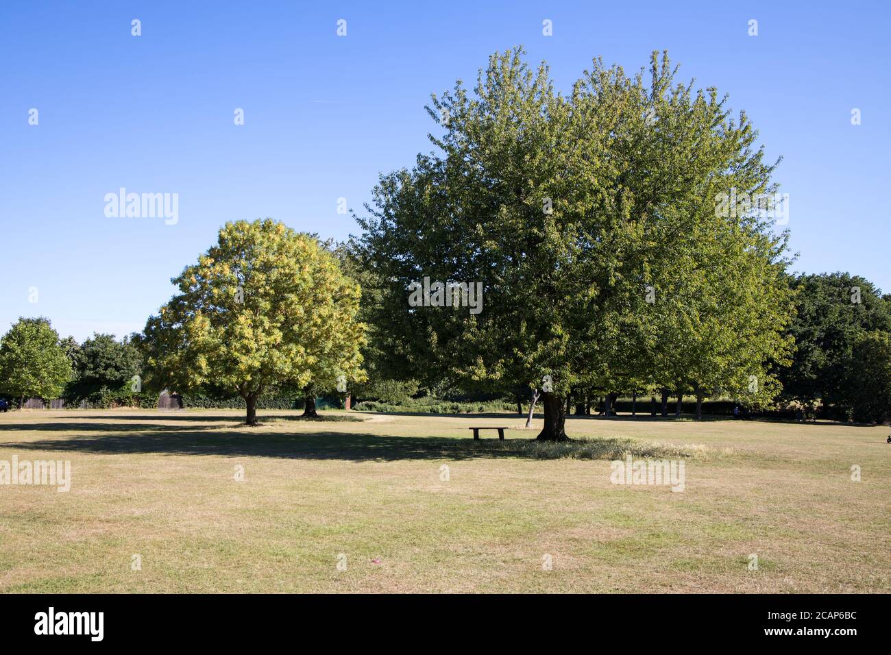 wide open space in parkland at nonsuch park surrey Stock Photo - Alamy