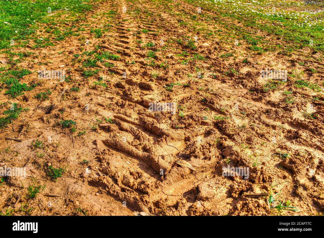 tractor trail on soil and grass in hdr Stock Photo - Alamy