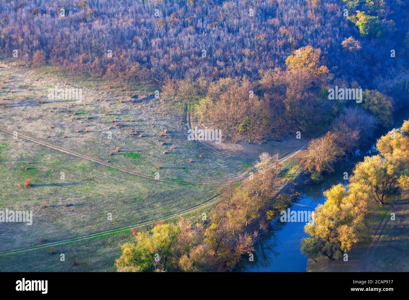 Autumn trees top view . Fall aerial scenery of idyllic park with river ...