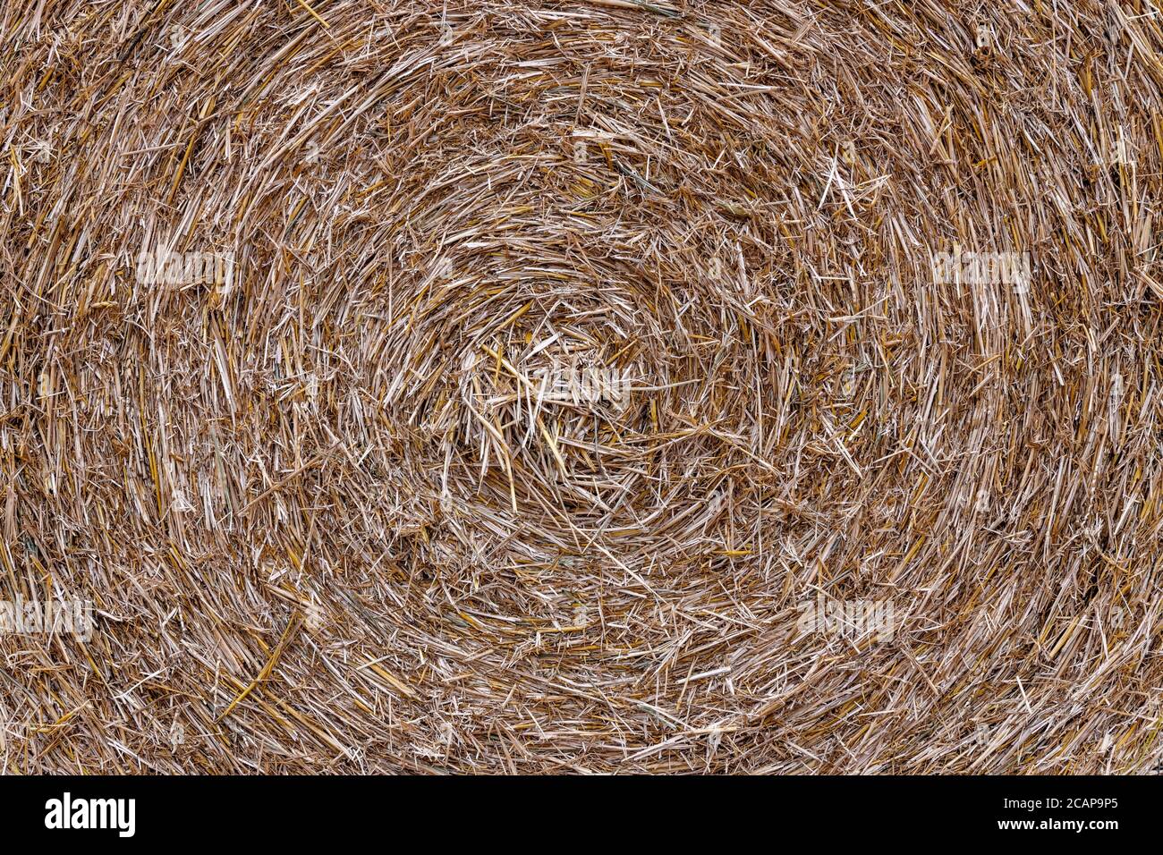 Hay design hi-res stock photography and images - Alamy
