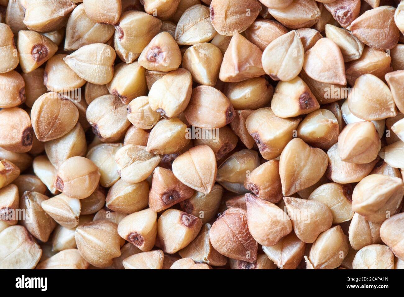 Dry buckwheat background or texture for design. Dietary product ...